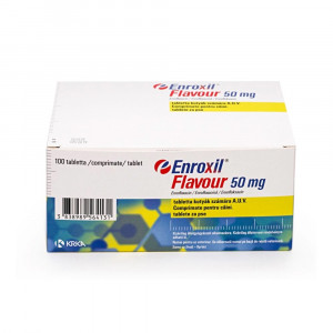 Enroxil Flavour, 10 tablete