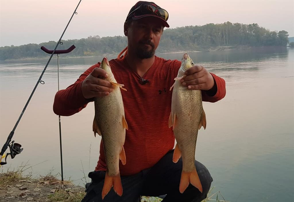 Pescuit pe Dunare la feeder Pescuit pe Dunare la feeder