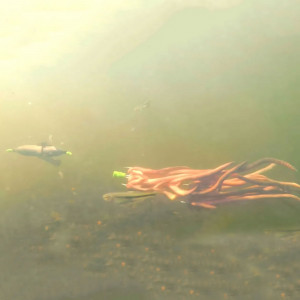 Pluta Zeck Propeller U-Float Solid Black 40gr