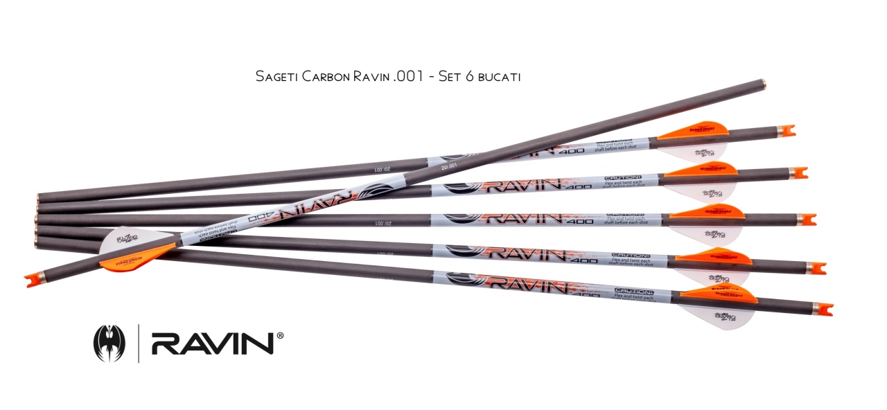 Sageti Carbon Ravin .001 - Set 6 bucati