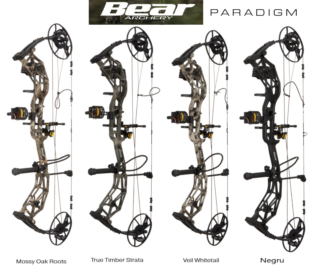 ARCURI COMPOUND - Arcuri-sageti.ro