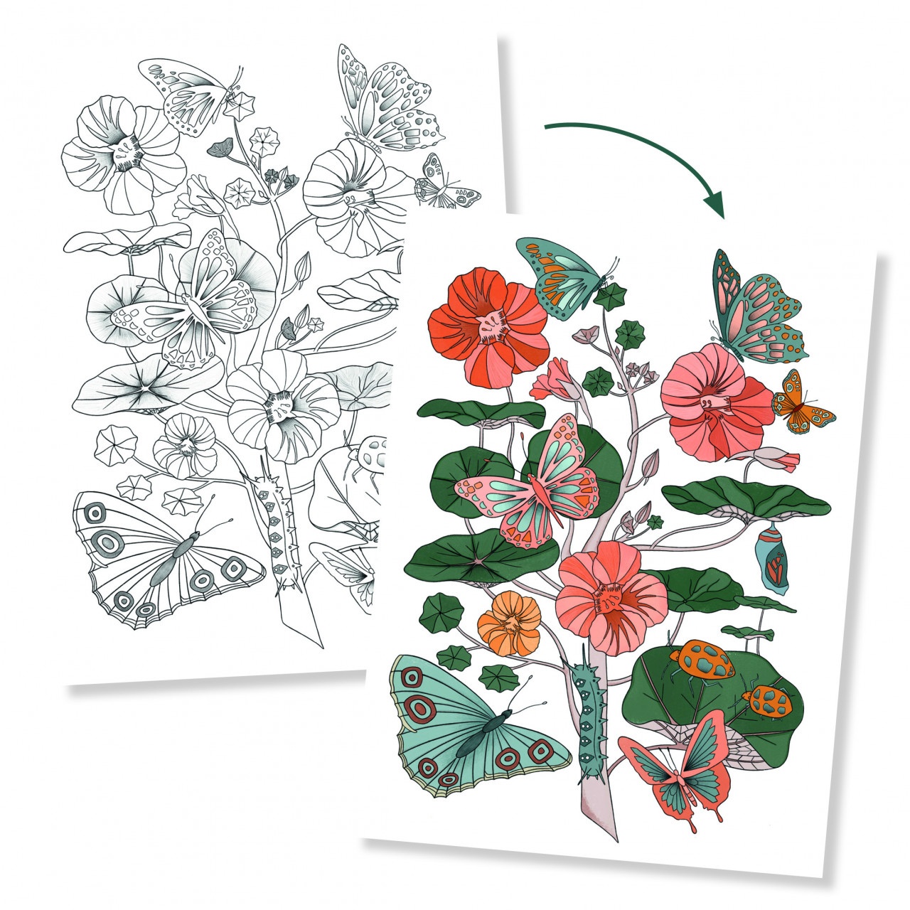 Mapa cu 3 postere de colorat Natura, Djeco