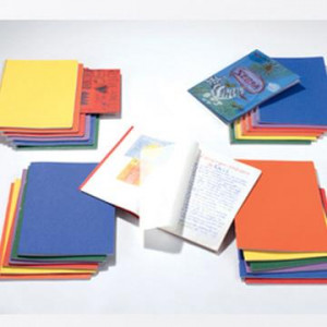 Caiet cu foi veline si protectie, portret