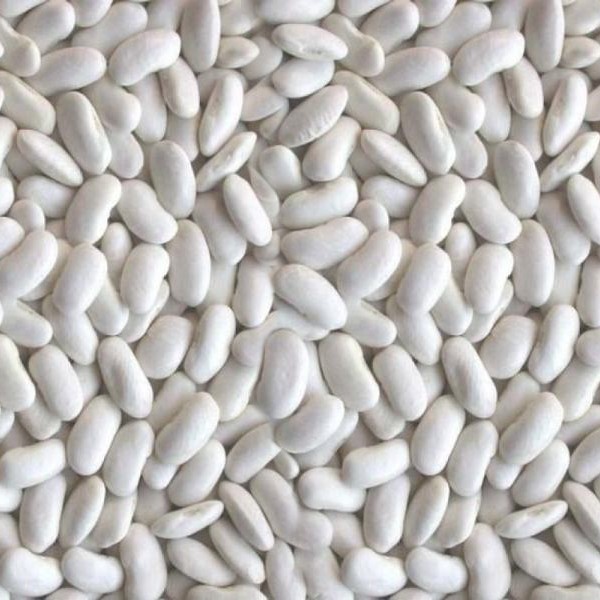 FASOLE ALBA BOB MARE 1000g