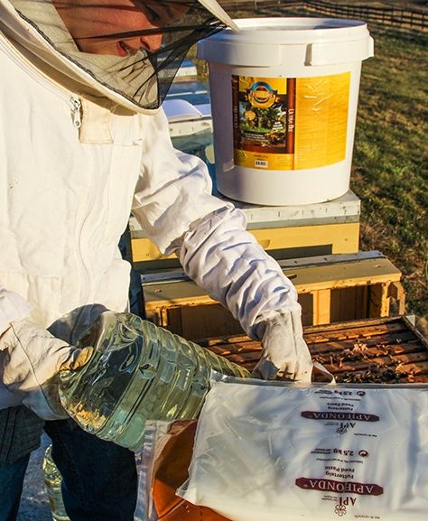 Beexpert - Magazin apicol cu Echipamente, Utilaje si Consumabile