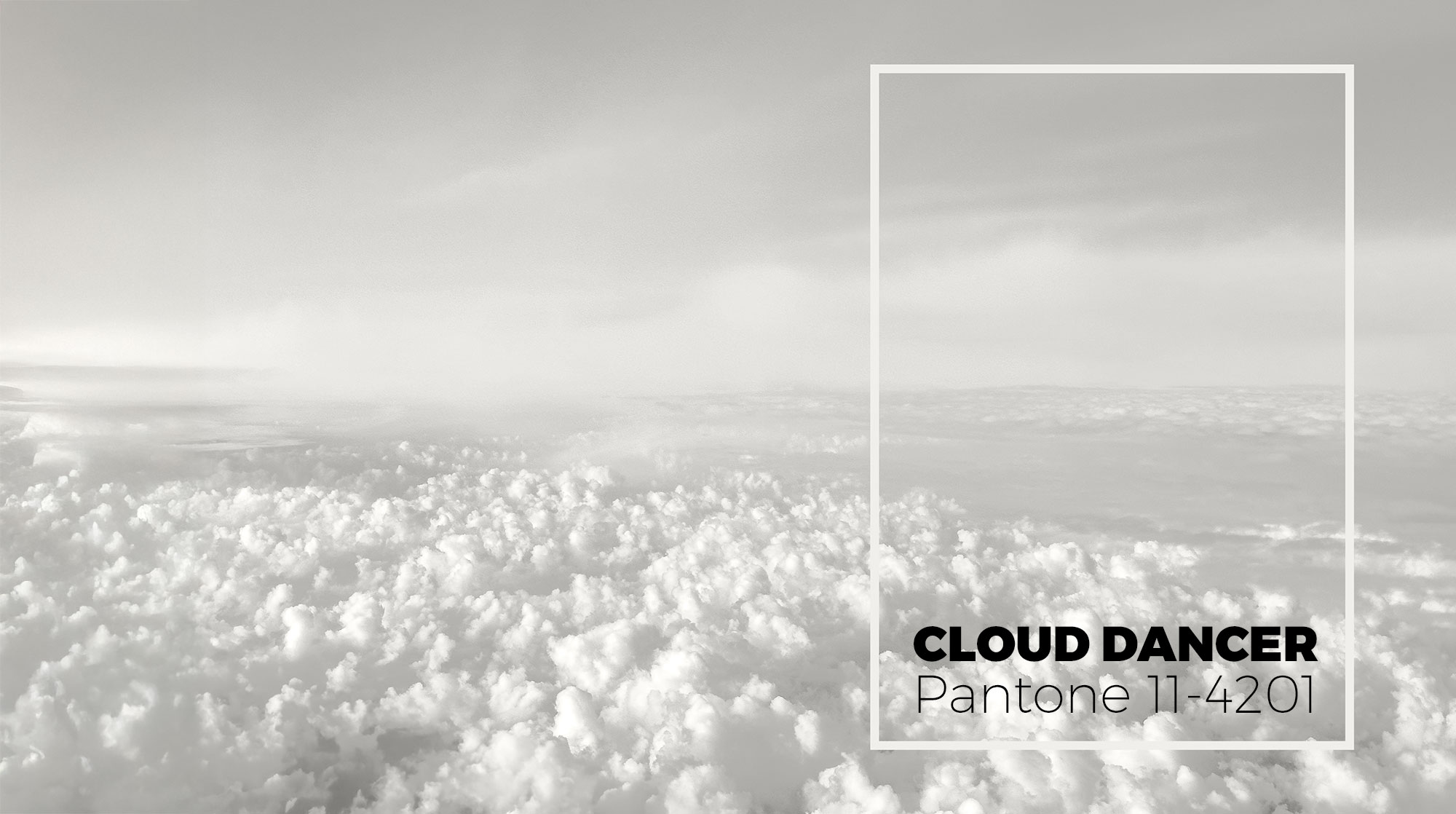 Care este culoarea ANULUI 2026?!