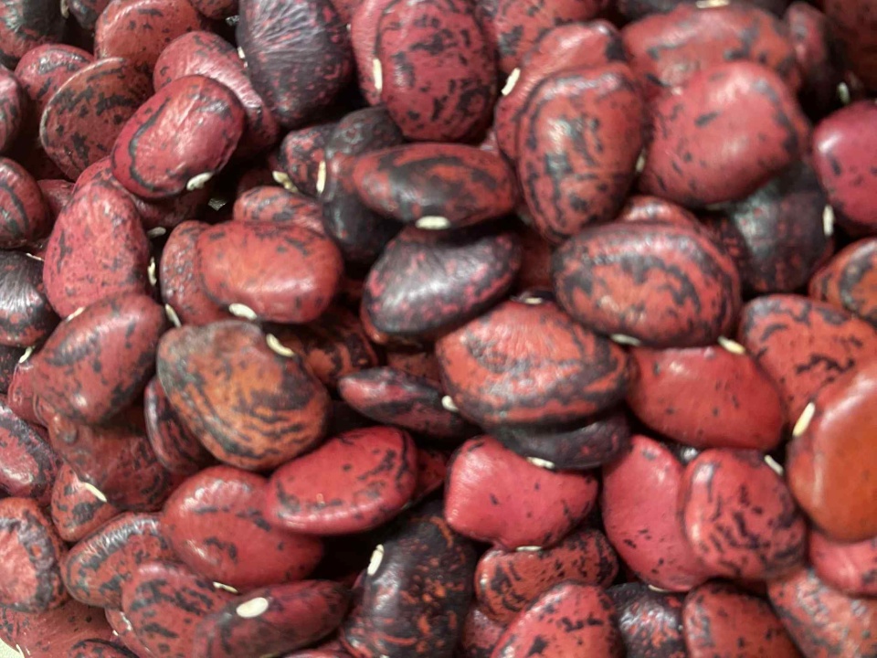 legume si fructe exotice