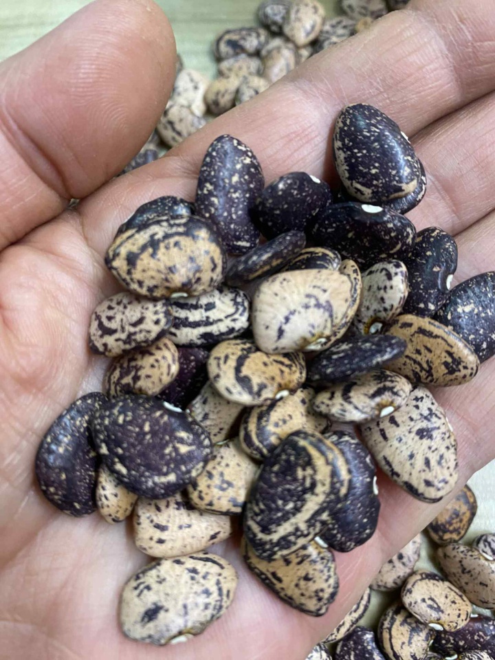 legume si fructe exotice
