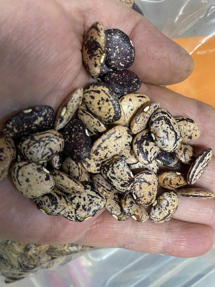 legume si fructe exotice