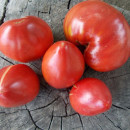 SEMINTE ROSII INIMA DE BOU - T 944 SERBIAN OXHEART - sezon scurt