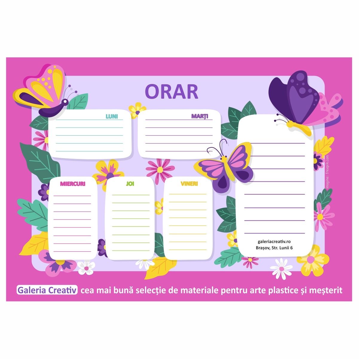 Orar scolar carton A5 model Fluturi si flori