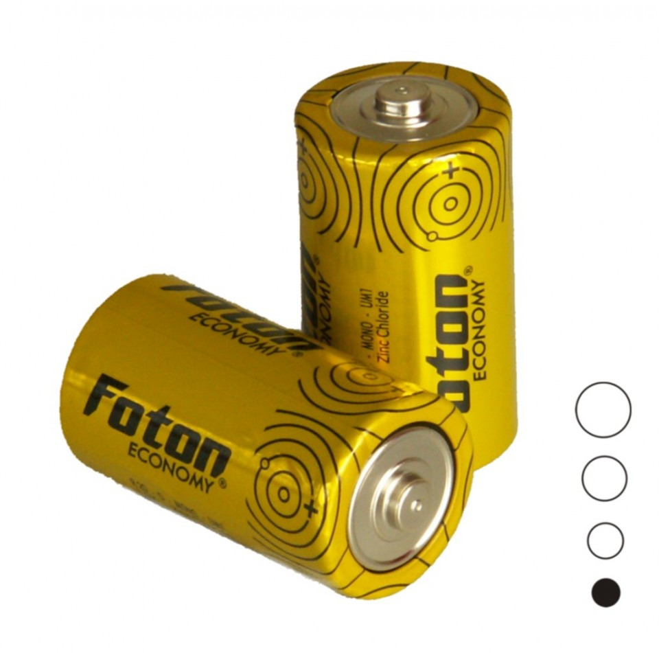 Set of 2 Batteries R20 D Foton Economy 1.5V