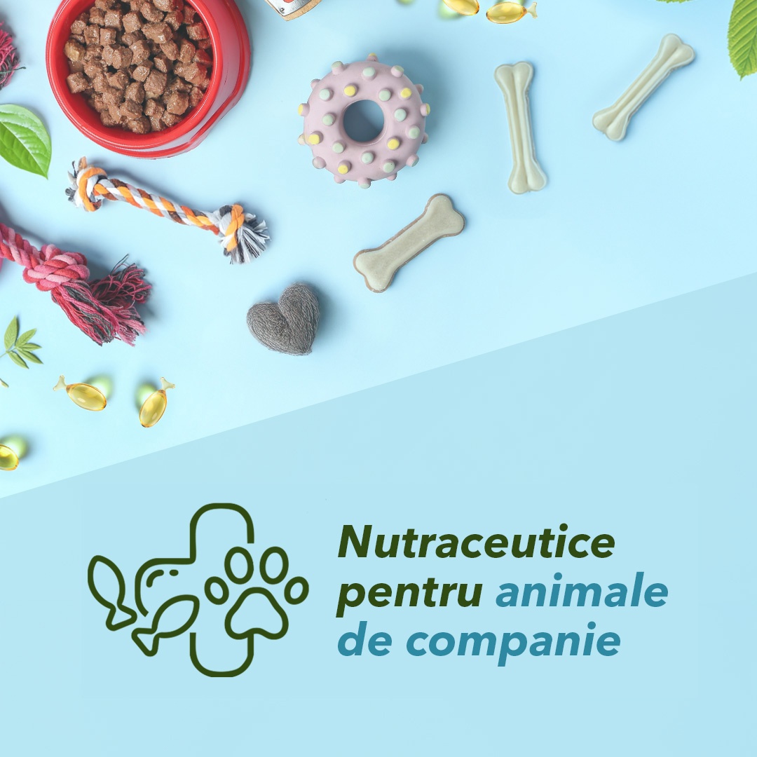 Comenzionline.antibiotice.ro