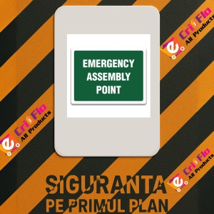 ⚠️ INDICATOARE 🛑 Indicator EMERGENCY ASSEMBLY POINT SIGN, Sticker ...