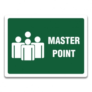 ⚠️ INDICATOARE 🛑 Indicator MASTER POINT SIGNAGE, Sticker autocolant ️