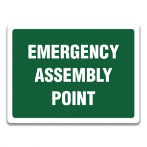 ⚠️ INDICATOARE 🛑 Indicator EMERGENCY ASSEMBLY POINT SIGN, Sticker ...