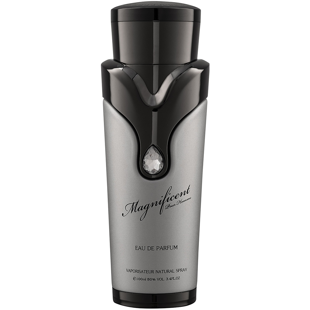 Magnificent Pour Homme | Armaf | Rada Perfumes
