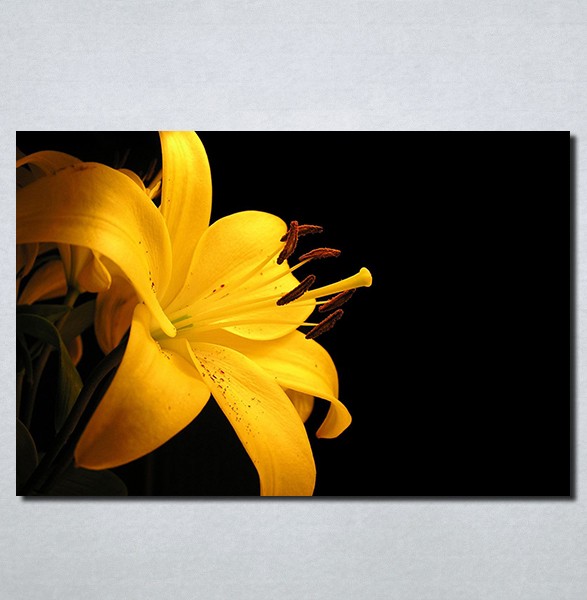 Slike na platnu Zuti cvet Nina103_P