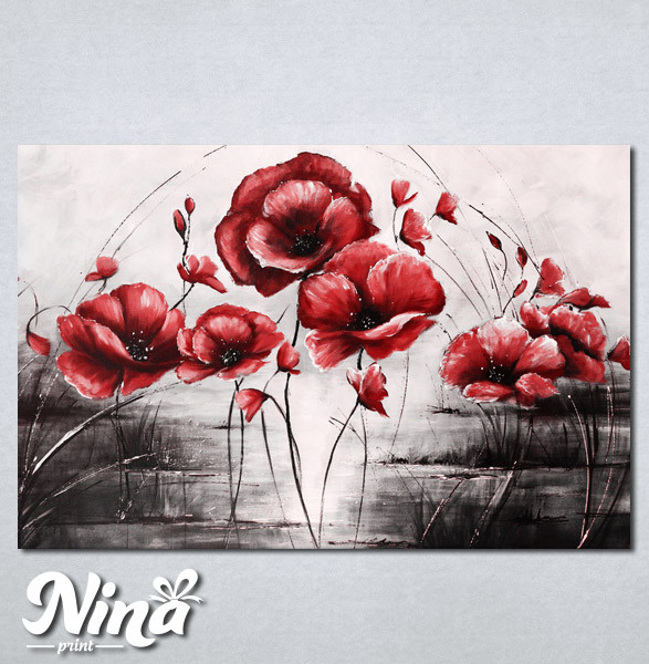 Slike na platnu Polje maka Nina229_P