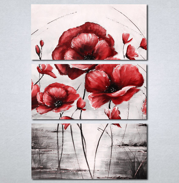 Slike na platnu Polje maka Nina229_3