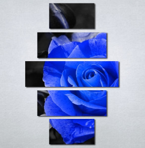 Slike na platnu Plava ruza Nina127_5