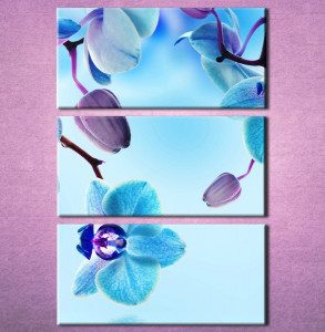 Slika na platnu Plava orhideja 3025_3