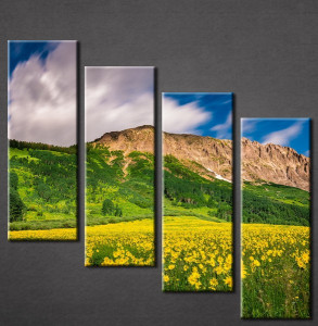 Slika na platnu priroda Žuto cveće Nina3075_4