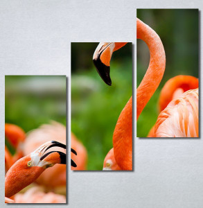 Slike na platnu Flamingo ptica Nina30256_3