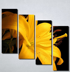 Slike na platnu Zuti cvet Nina103_4