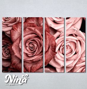 Slike na platnu Slike ruze Nina412_4