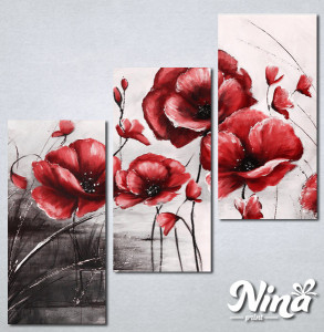 Slike na platnu Polje maka Nina229_3