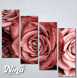 Slike na platnu Slike ruze Nina412_4