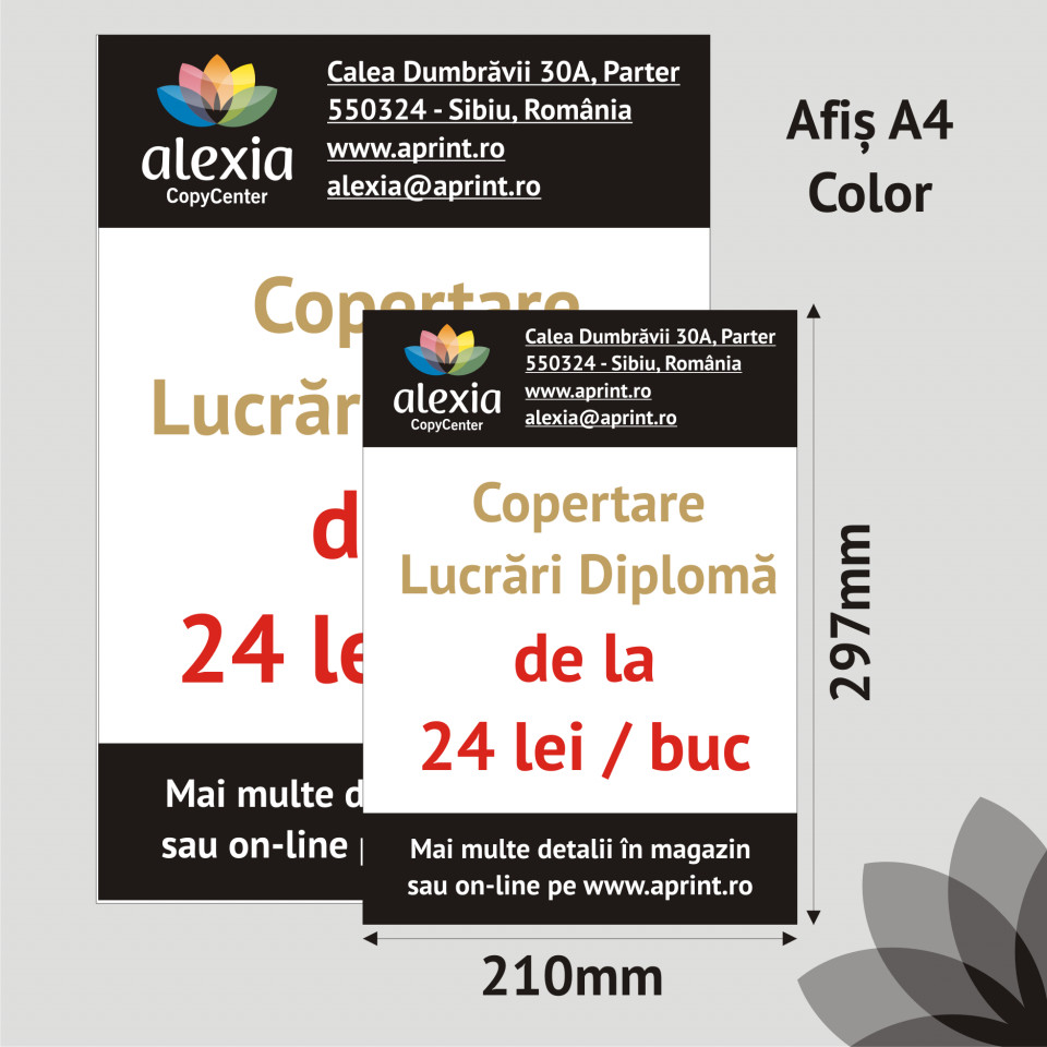 Pachet 100 Afise A4 Color