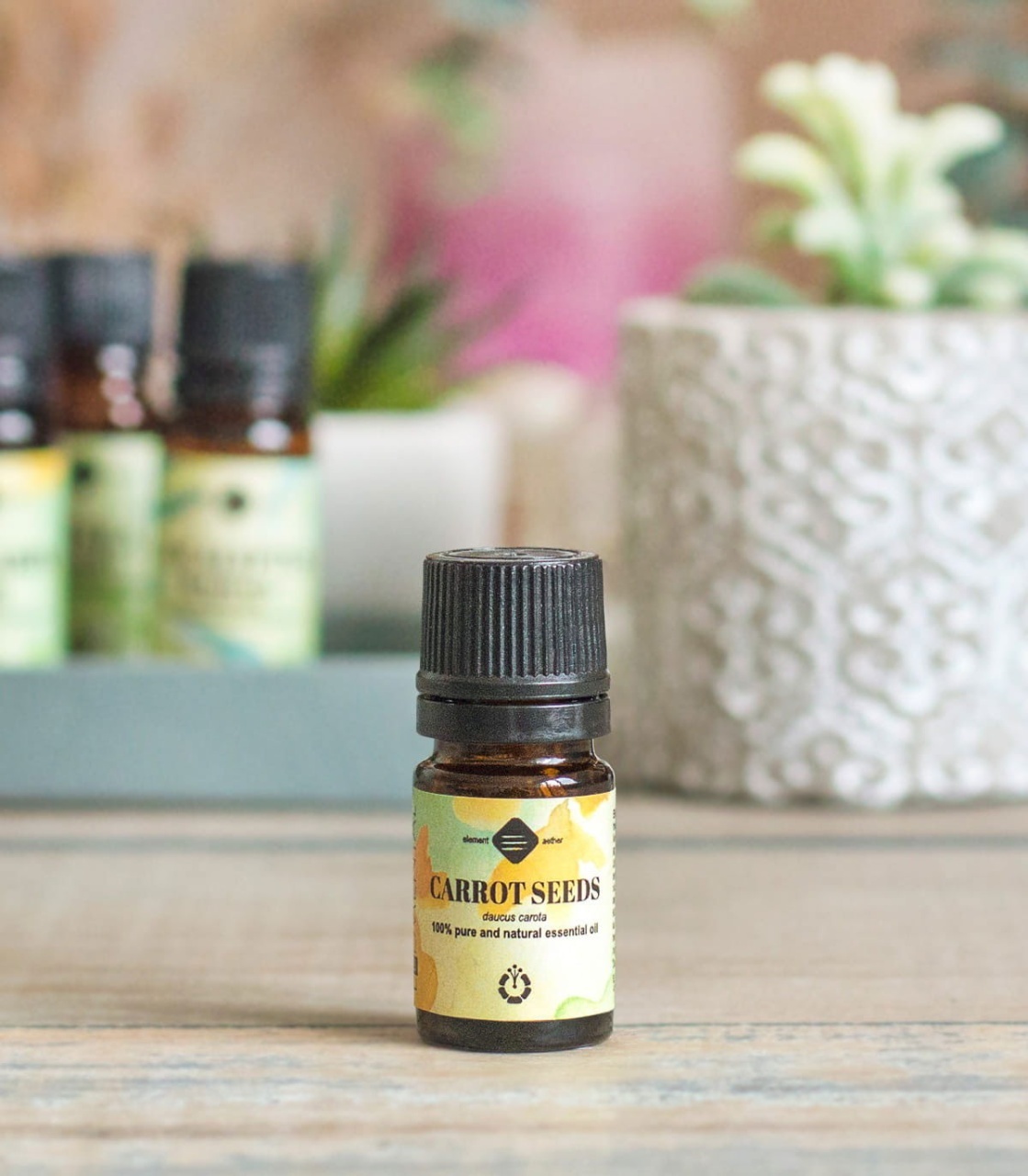 Carrot seeds essential oil