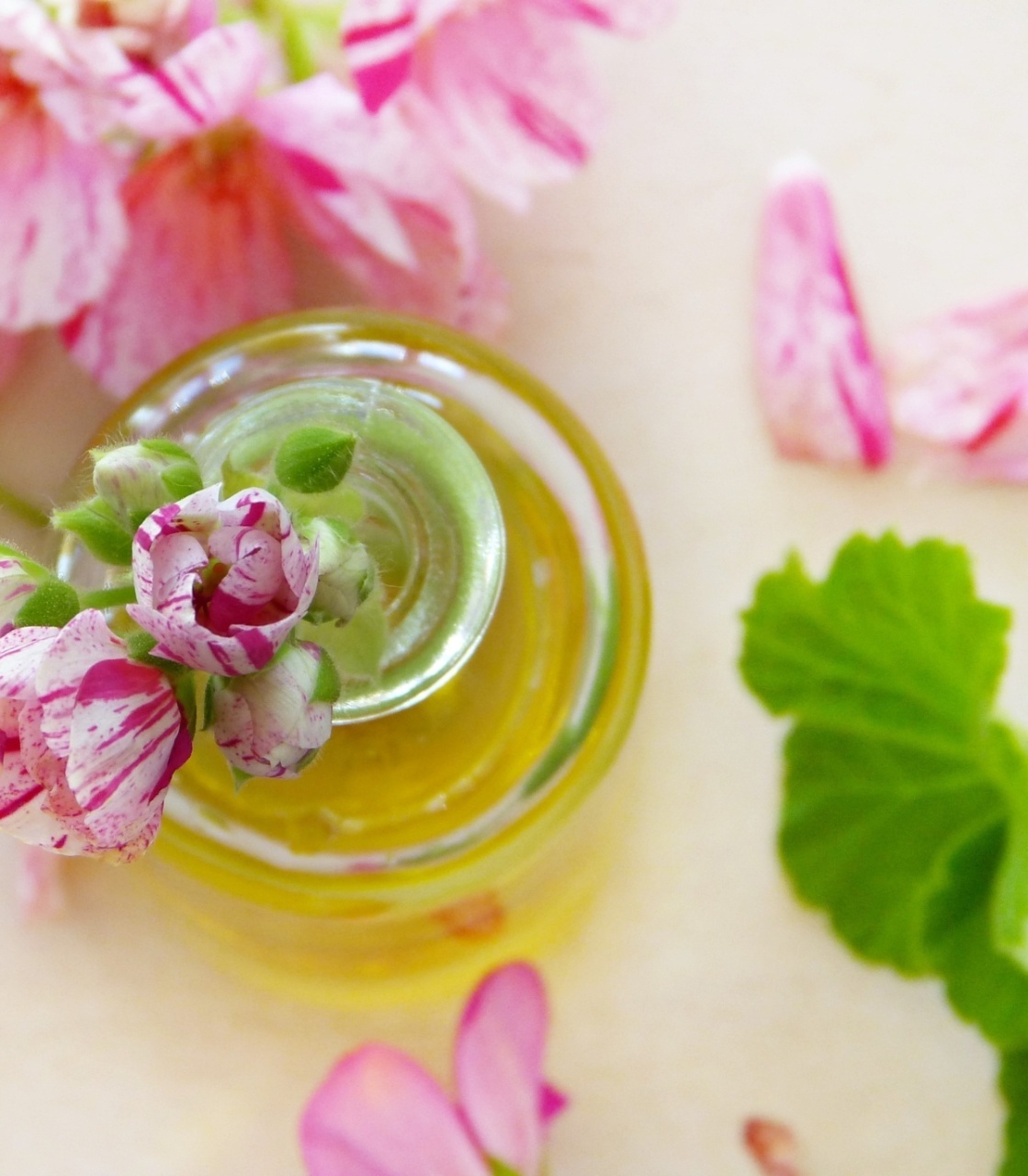 Geranium Water Organic