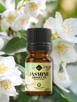 Jasmine absolute