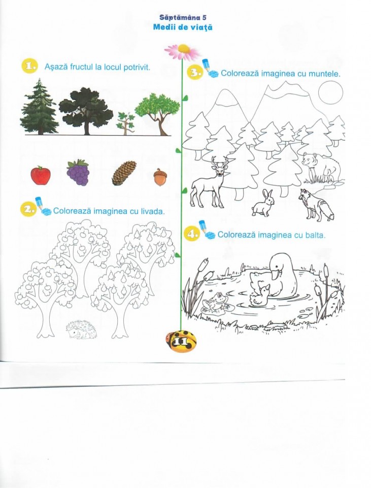 Micul Explorator, Matematică și explorarea mediului, Clasa Pregătitoare ...