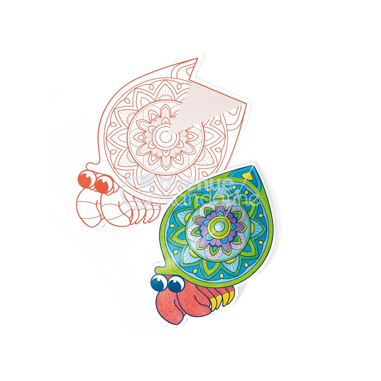 Carte De Colorat Graffy Pop Mandale 3D Animale Marine Avenue Mandarine ...