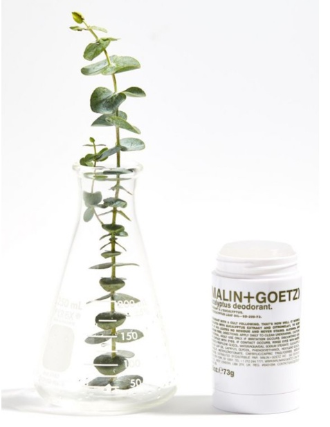 Malin + Goetz - Eucalyptus Deodorant - Deodorant solid unisex - 73g