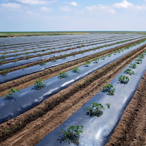 20 микрона Черно фолио за мулчиране, 4 метра ширина, 200 метра