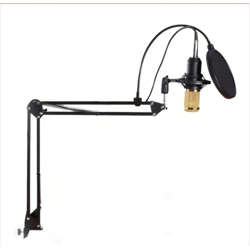 Microfon Profesional de Studio Condenser BM800 cu stand inclus pentru ...
