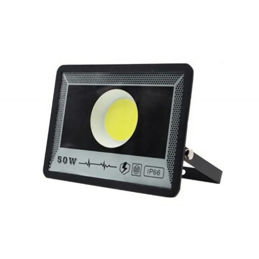 Proiector de Exterior Techstar® 50W, LED COB, IP66, Lumina Rece, Culoare 6500K, Corp Aluminiu ...