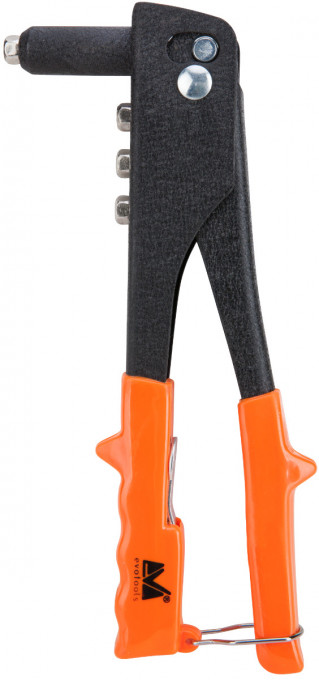 Cleste Nituri Pop / L[mm]: 240