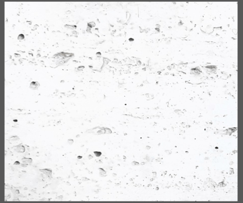 Elemente zidarie pentru garduri | Constam