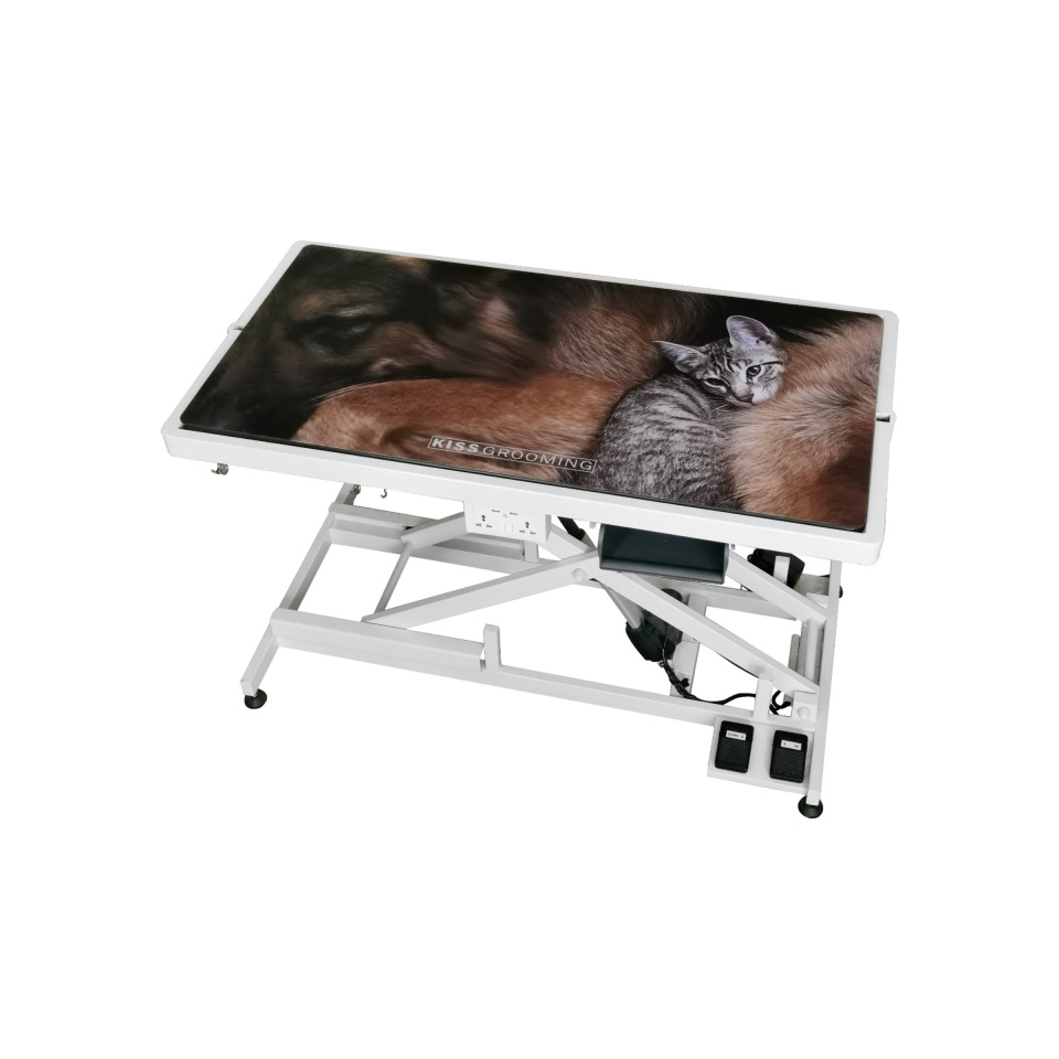 COVORAS PT MASA CONSULTATIE BV-2