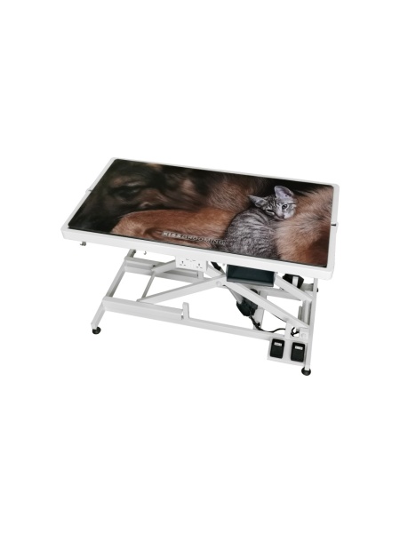 COVORAS PT MASA CONSULTATIE BV-2