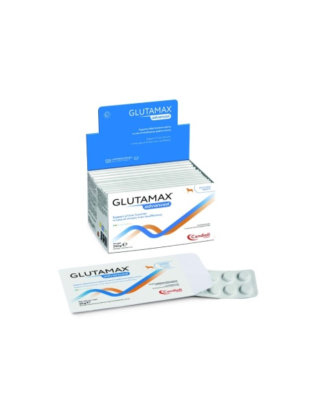 GLUTAMAX ADVANCED 120 TABLETS MULTIBLISTER