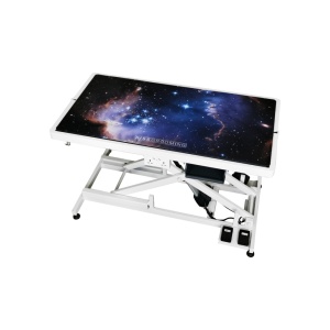 COVORAS PT MASA CONSULTATIE BV-3