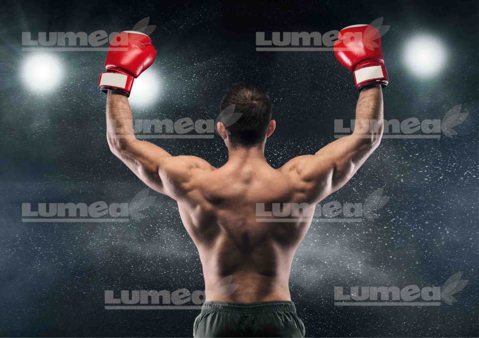 Imagine comestibila tort din Zahar campion de Box - Lumea