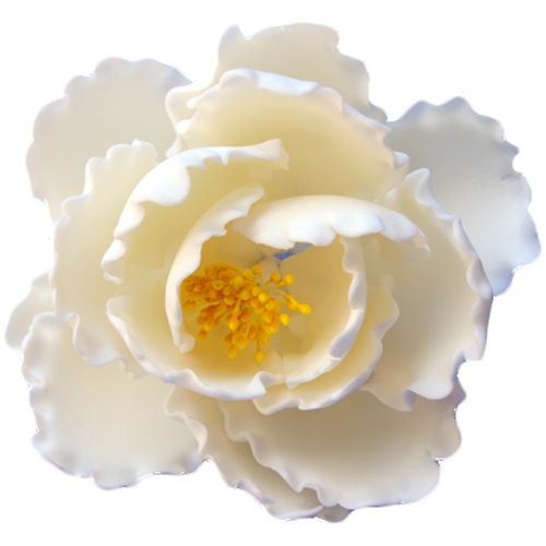 Buchet cu floricele albe din pasta de zahar - Lumea